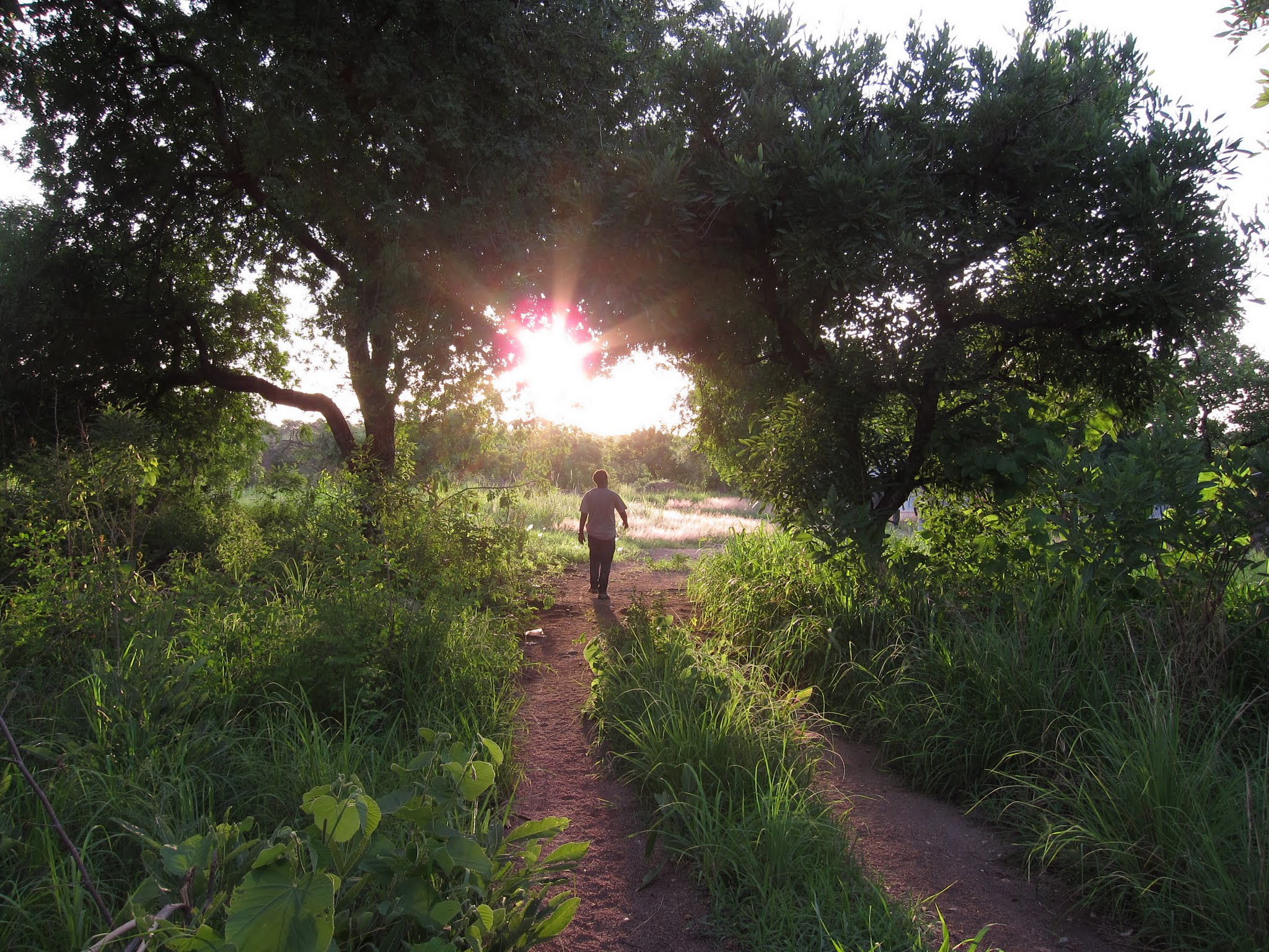 Contact – Akobo Minerals